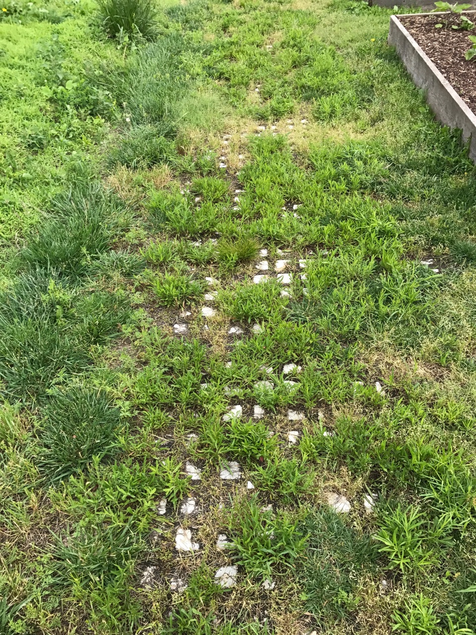 Drivable Grass® contains storm water and creates beauty for Boston ...